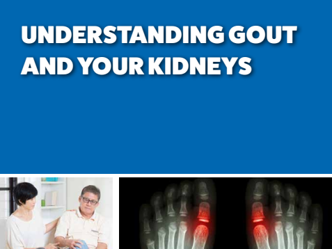 Understanding Gout and Your Kidneys - Alliance for Gout Awareness
